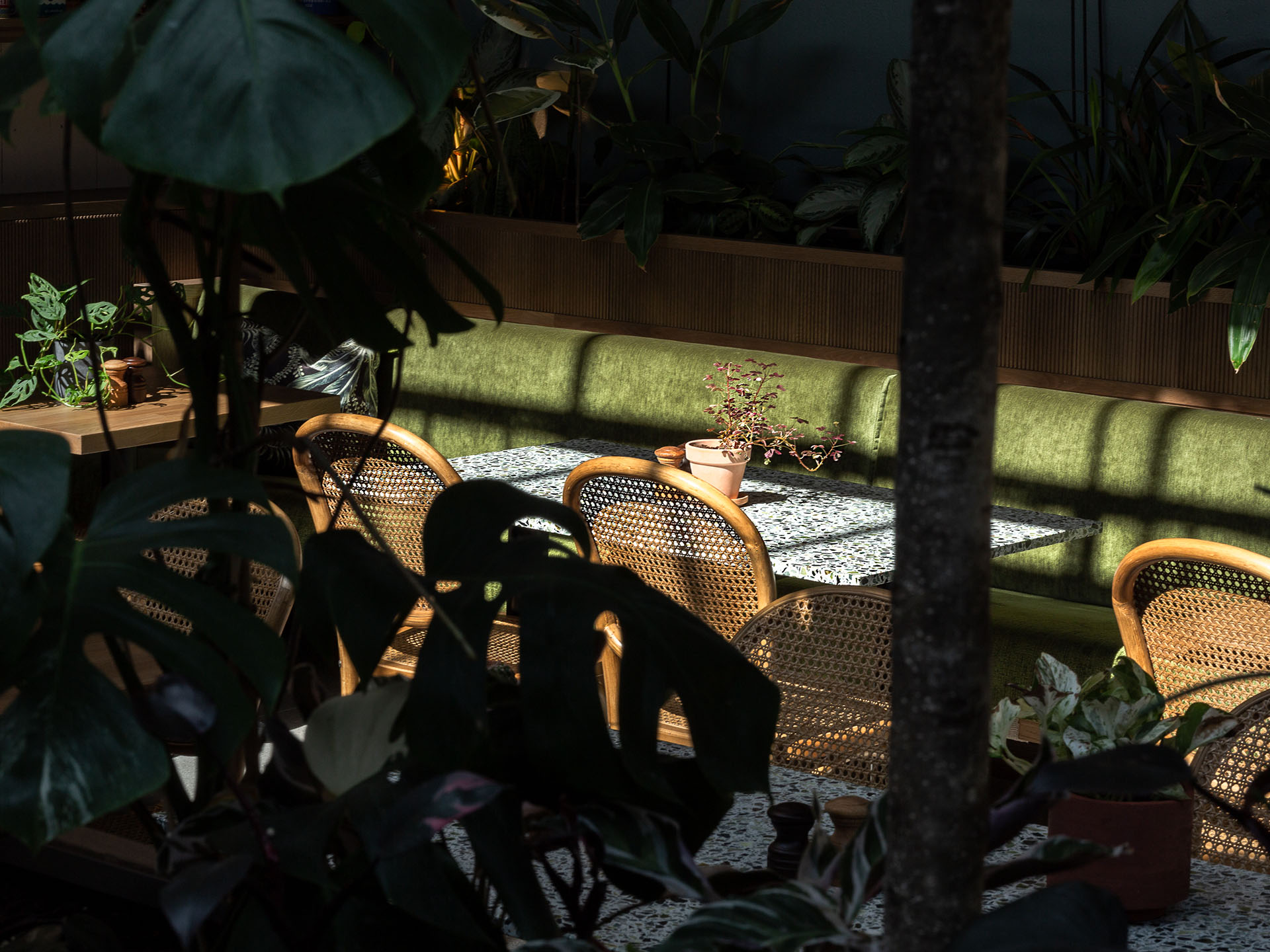 The Garden – Monkey Studio