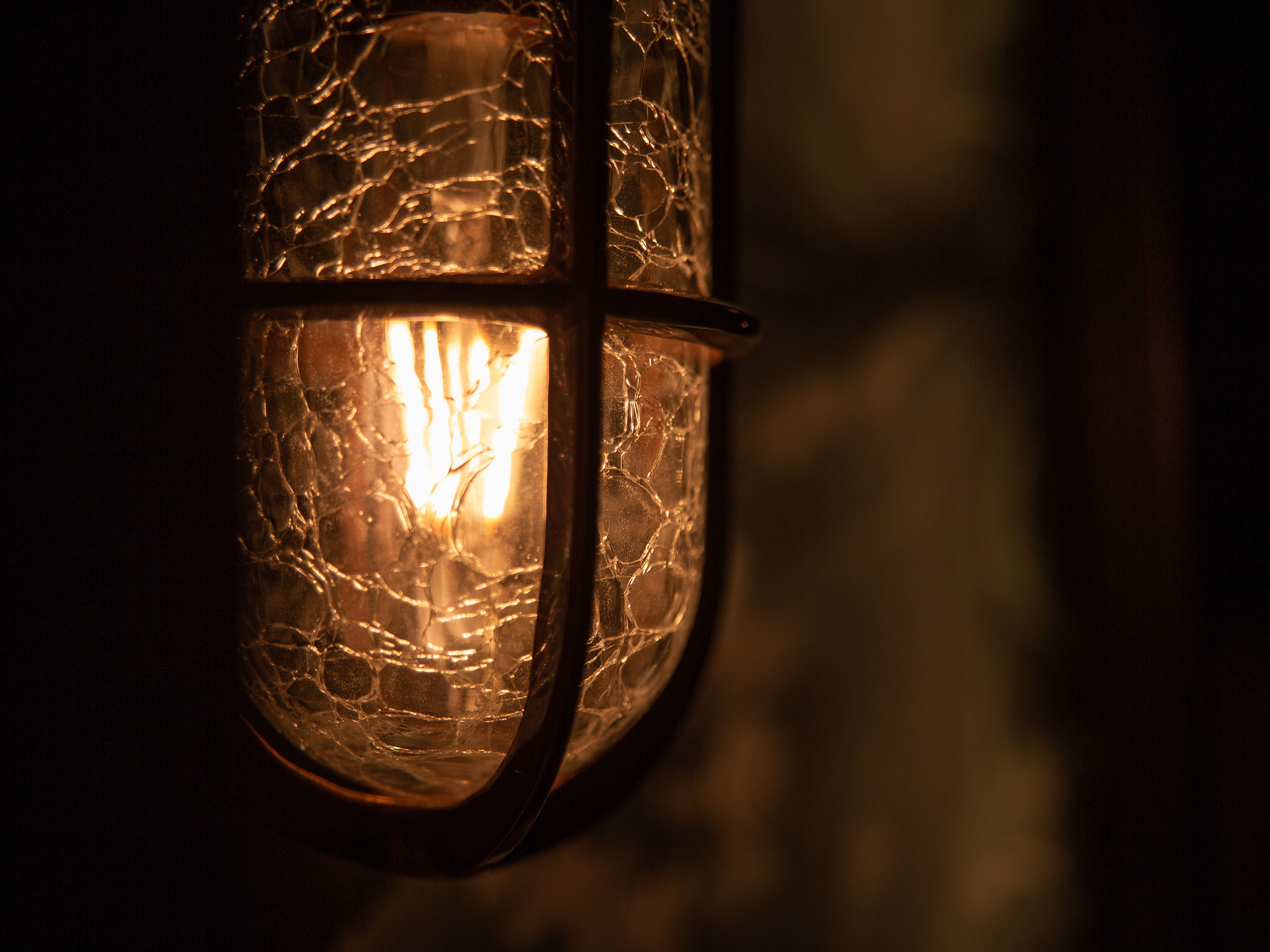 ZIP 4020 – Monkey Studio